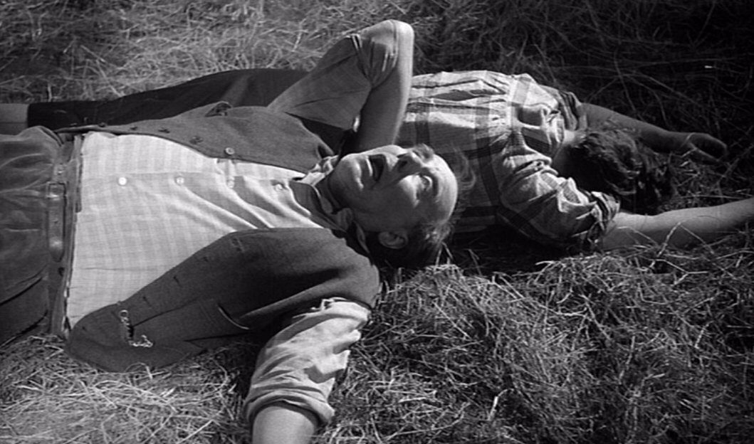 Meadows White | Cinemorgue Wiki | Fandom