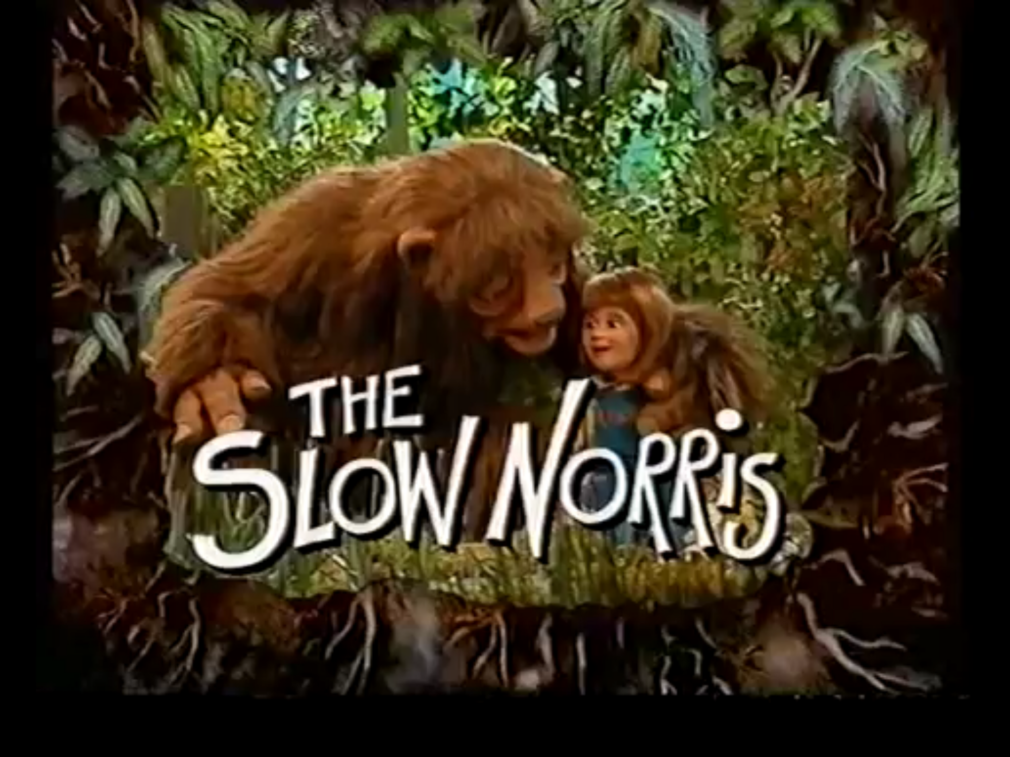 Slow Norris Citv Wiki Fandom