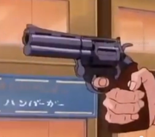 Colt Python. 357 Magnum | Wiki City Hunter | Fandom