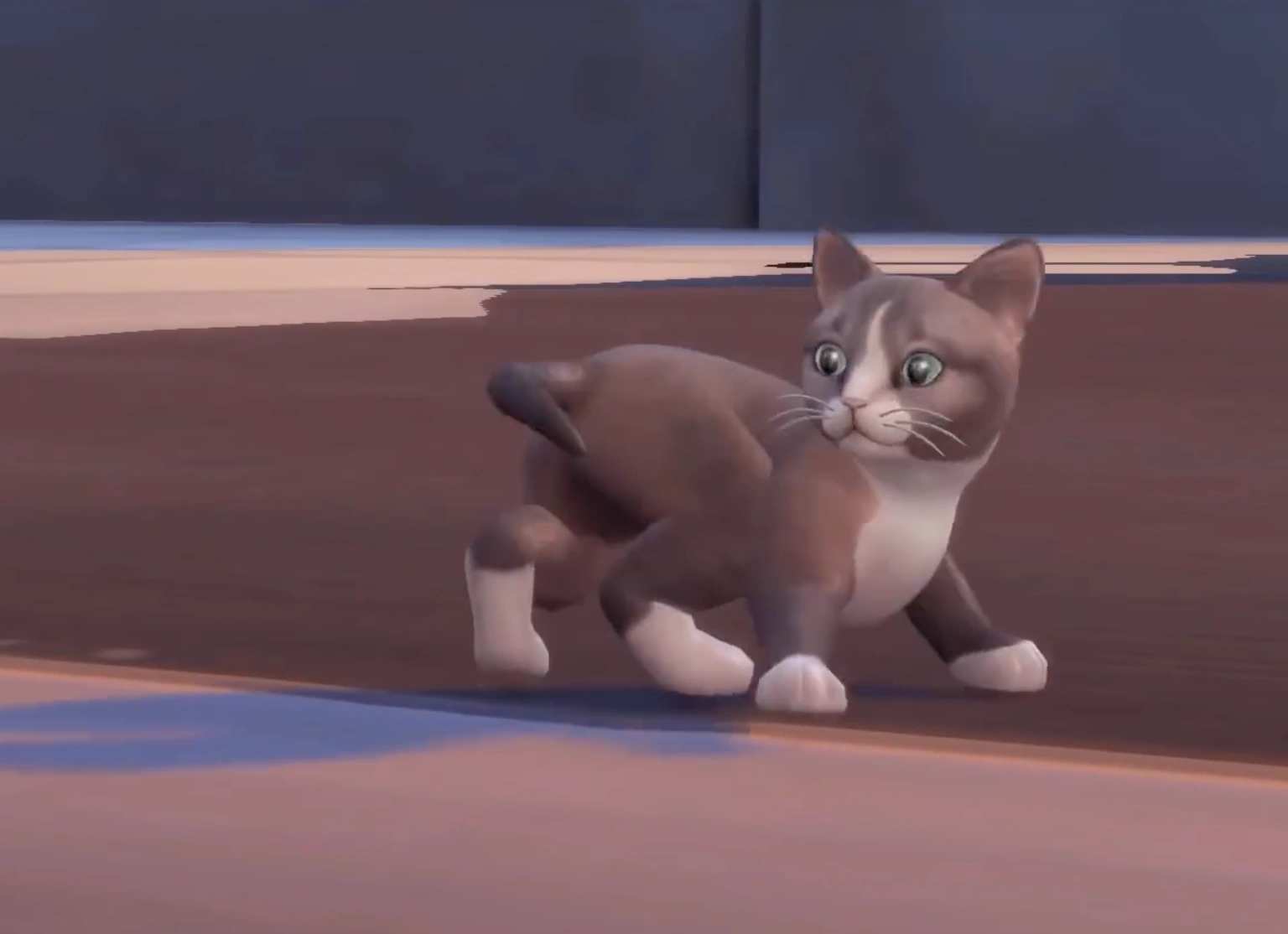 Anastasia (Cat) | Clare Siobhan Sims 4 Wiki | Fandom