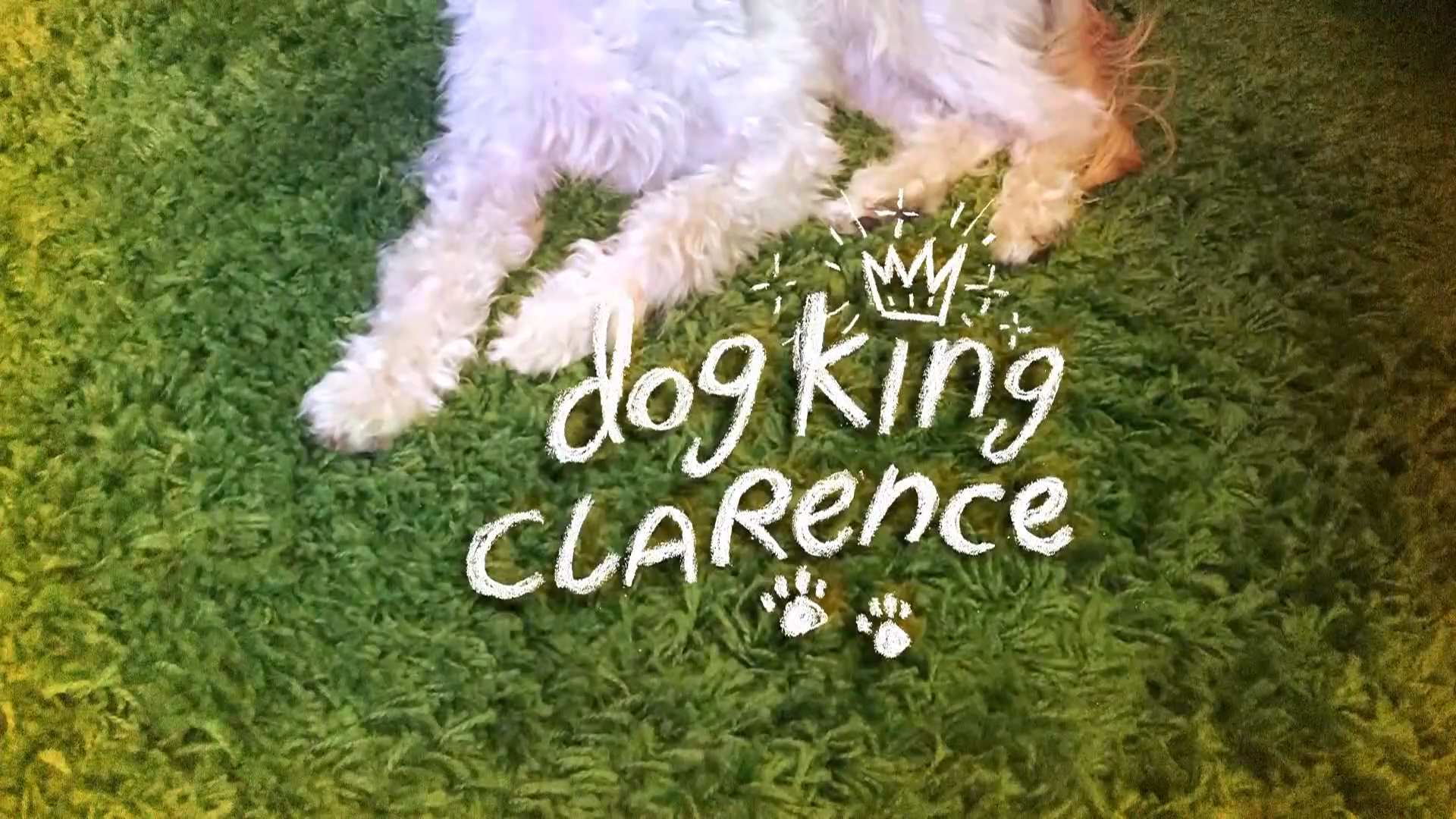 Dog King Clarence | Clarence Wiki | Fandom