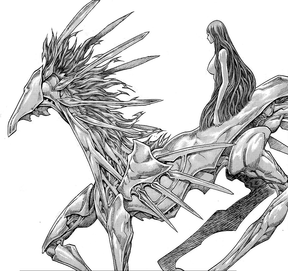 Octavia Claymore New Wiki Fandom Powered By Wikia