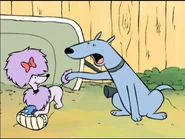 Mac | Clifford the Big Red Dog Wiki | FANDOM powered by Wikia