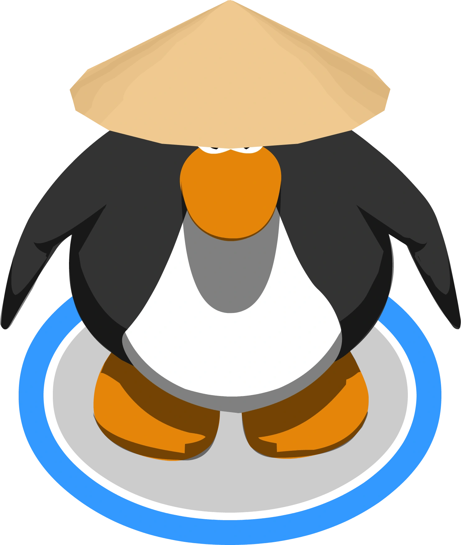 Sensei's Hat | Club Penguin Wiki | Fandom