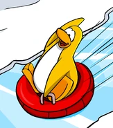 Sled Racing | Club Penguin Wiki | FANDOM powered by Wikia