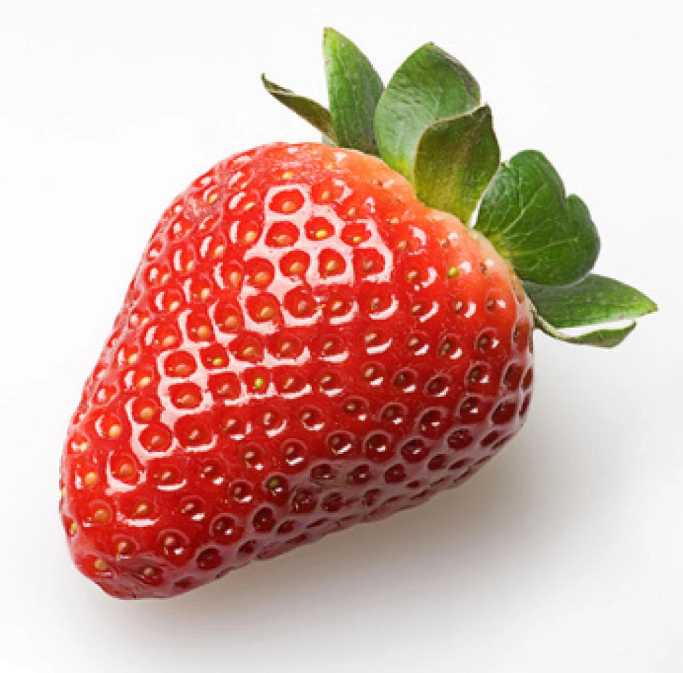 Imagen - Fresa.jpg | Club Penguin Wiki | FANDOM powered by Wikia