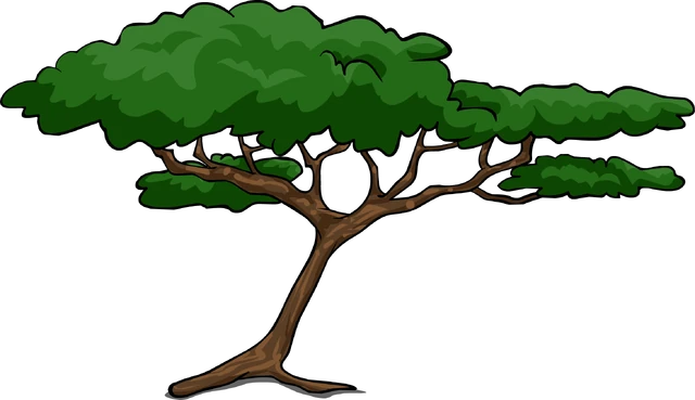 Image - Acacia Tree.png | Club Penguin Wiki | FANDOM powered by Wikia