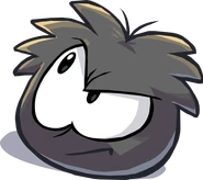 Puffle negro | Club Penguin Wiki | FANDOM powered by Wikia
