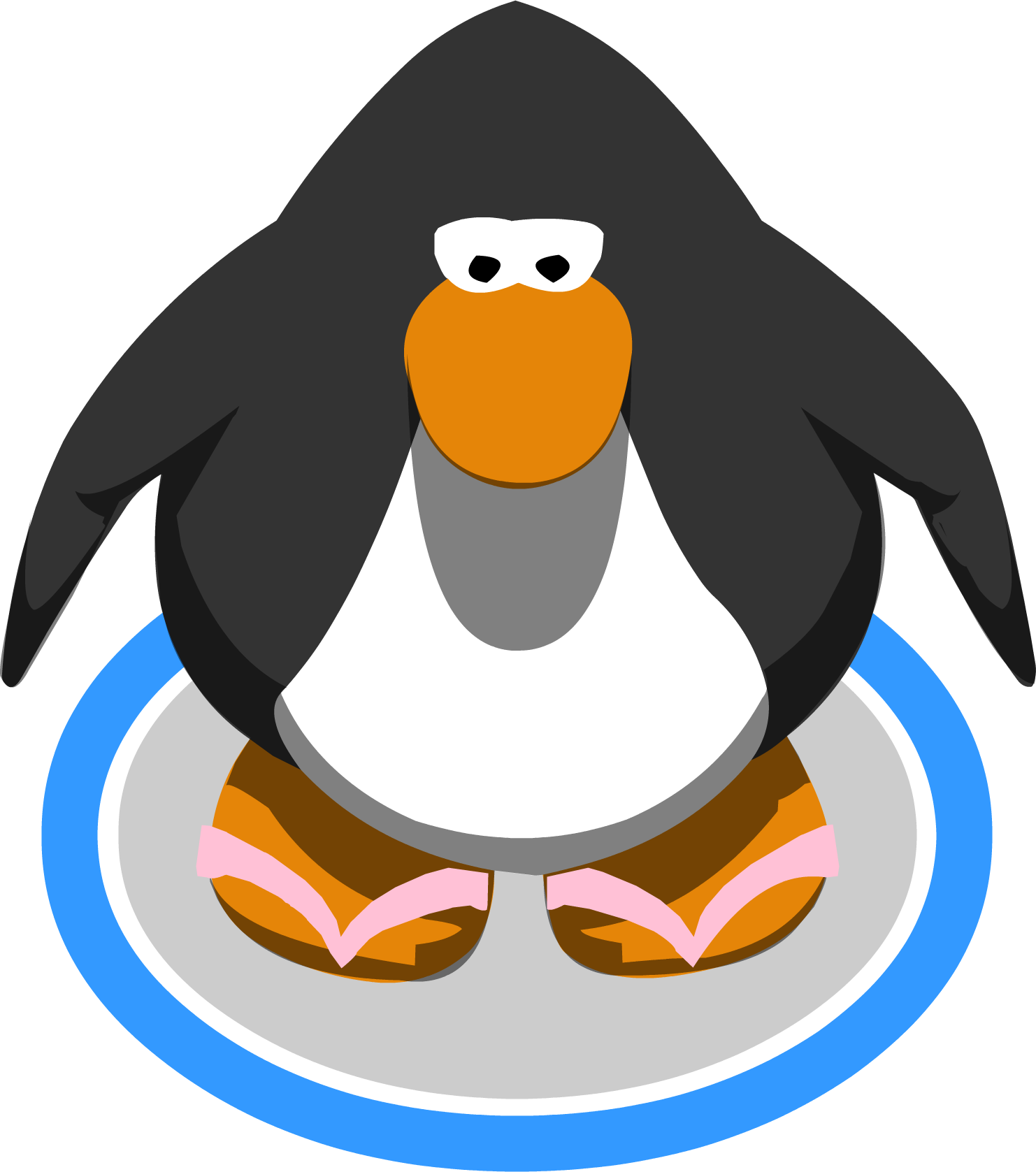 Pink Flip Flops Club Penguin Wiki Fandom Powered By Wikia