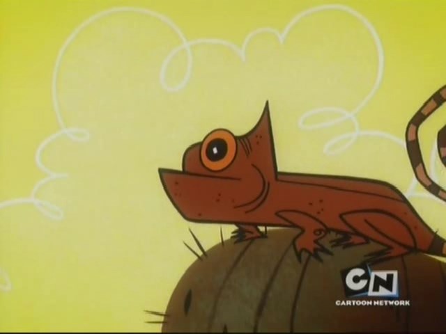 Category:Chameleons | Cartoon Network Animals Wiki | Fandom Category:Chameleons | Cartoon Network Animals Wiki | Fandom