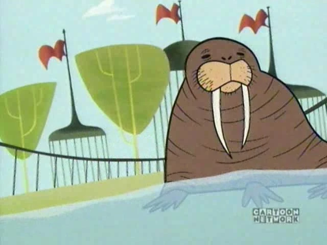 Category:Seals, Sea Lions and Walruses | Cartoon Network Animals Wiki ...