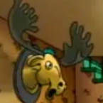 Moose | Cartoon Network Animals Wiki | Fandom