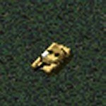 The Story of Vagrant Dash