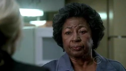 Mary Chisolm | Cold Case Wiki | Fandom