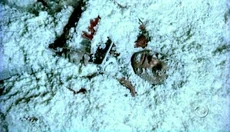 Glued | Cold Case Wiki | Fandom