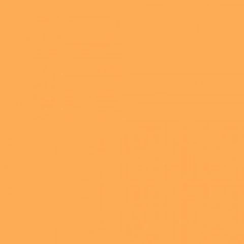 Apricot (colour) | Colour Coded Wiki | Fandom
