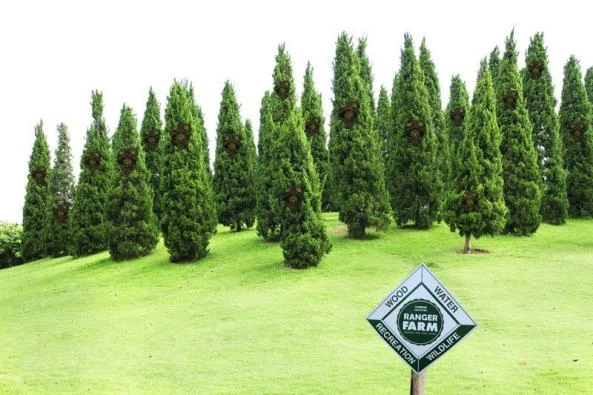 OTA RANGER | CombineVersusRebels Wiki | Fandom