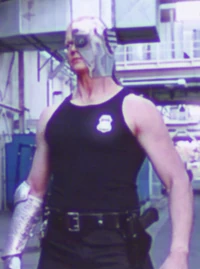 Kickpuncher | Community Wiki | Fandom