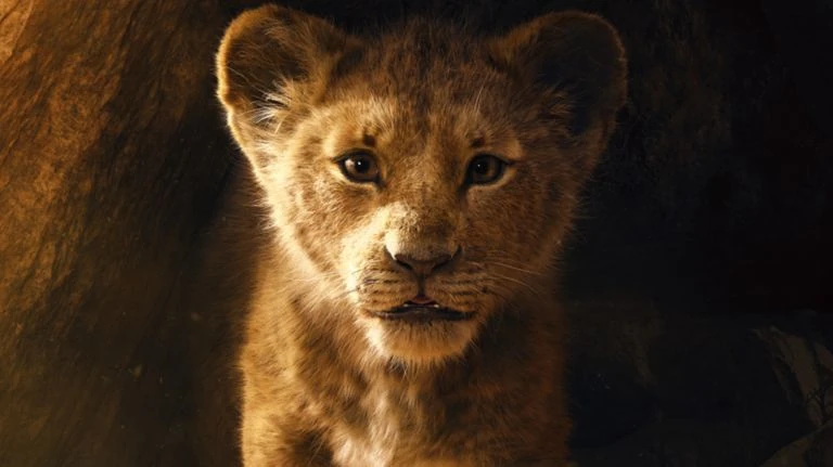 Aslan | Chronicles of Narnia Fanon Wiki | Fandom
