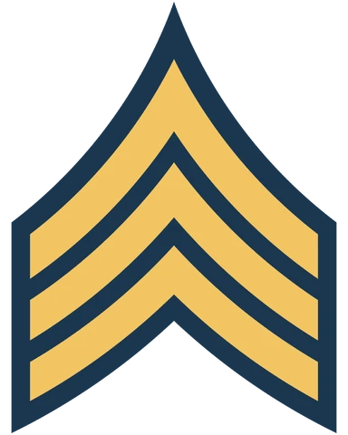 Image - Sgt Insignia (STA).png | Constructed Worlds Wiki | FANDOM ...