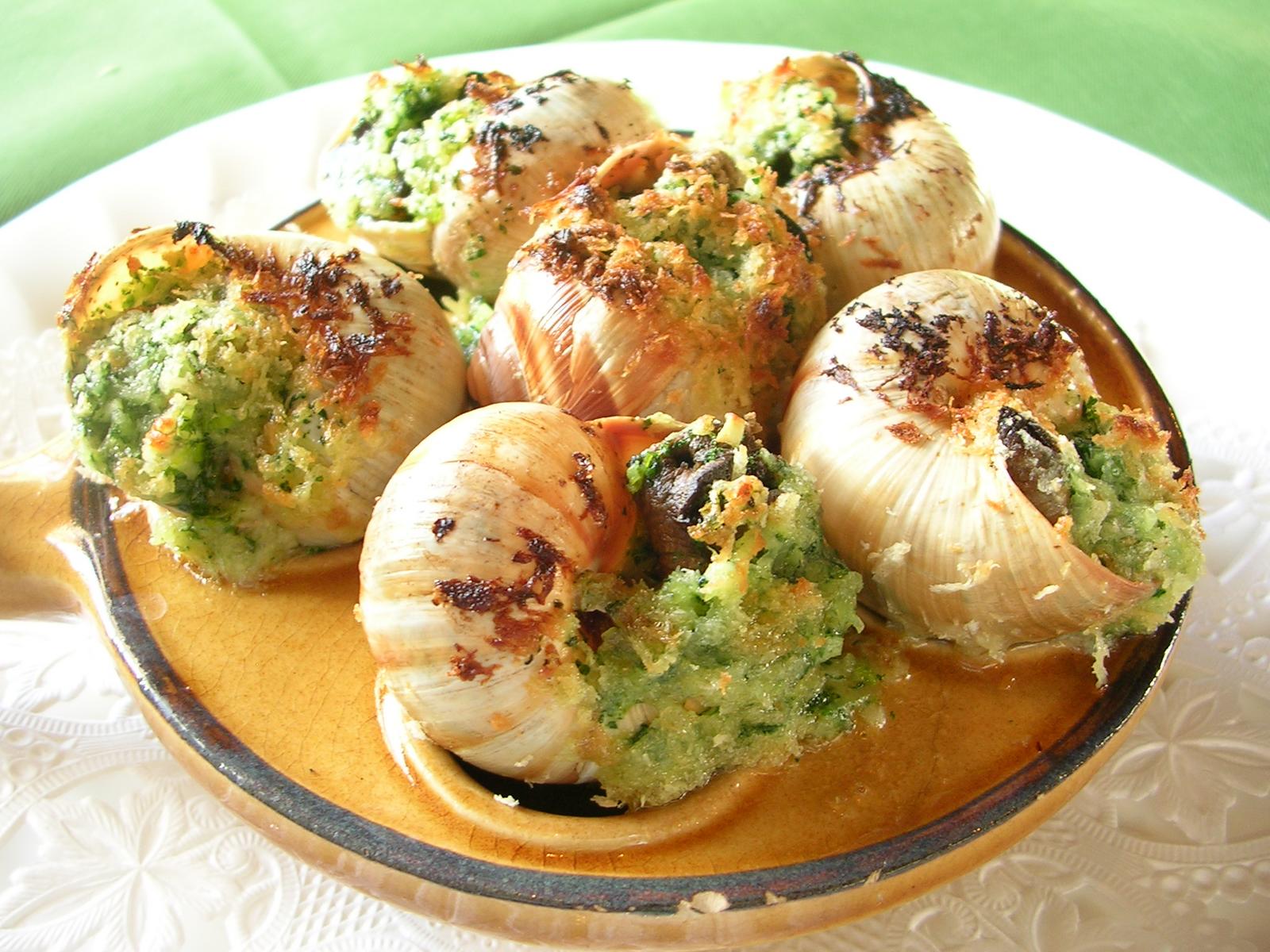 Escargot | Cooking Mama Wiki | Fandom