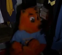 Cool Cat | Cool Cat Wiki | Fandom