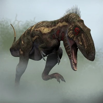Nanotyrannus | Cool Dino Facts Wiki | Fandom