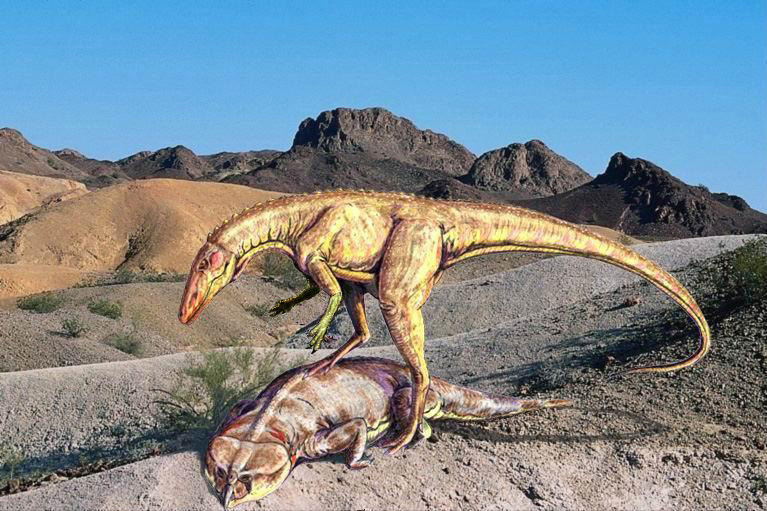 Staurikosaurus Cool Dino Facts Wiki Fandom Powered By Wikia