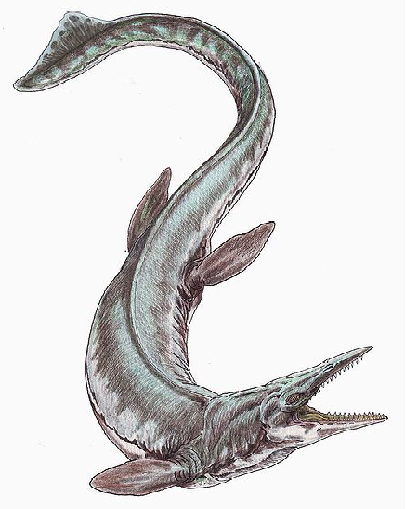 Tylosaurus | Cool Dino Facts Wiki | FANDOM powered by Wikia Tylosaurus | Cool Dino Facts Wiki | FANDOM powered by Wikia