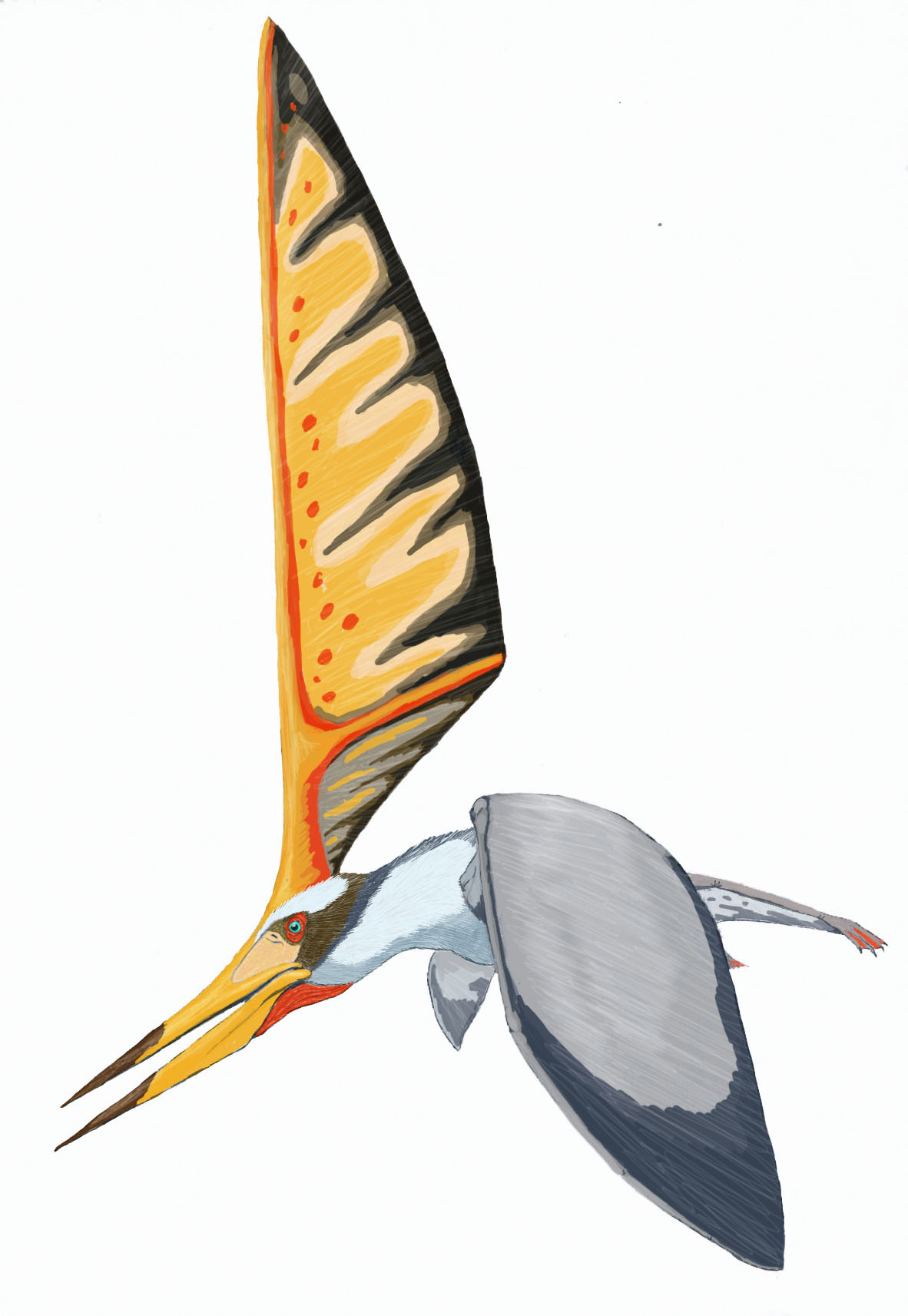 Nyctosaurus | Cool Dino Facts Wiki | Fandom Nyctosaurus | Cool Dino Facts Wiki | Fandom