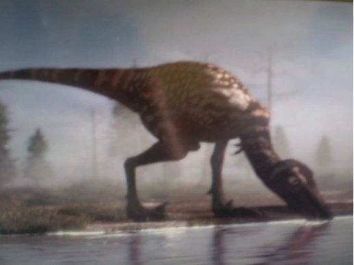 Alaskan Troodon | Cool Dino Facts Wiki | Fandom