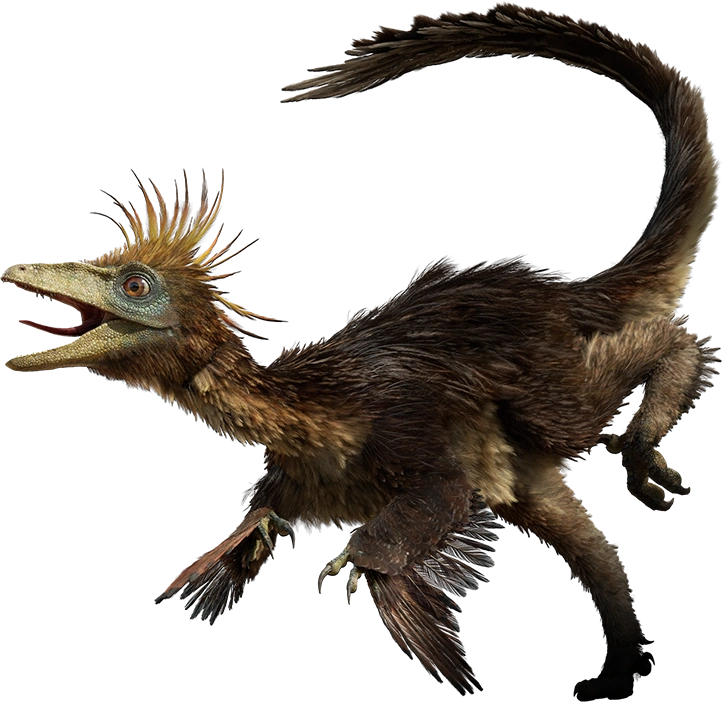 Troodon | Cool Dino Facts Wiki | FANDOM powered by Wikia