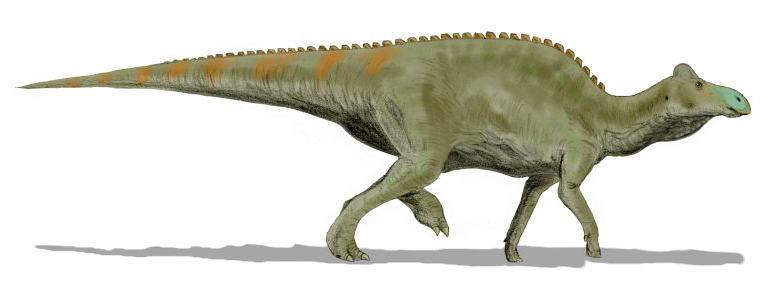 Edmontosaurus | Cool Dino Facts Wiki | Fandom Edmontosaurus | Cool Dino Facts Wiki | Fandom