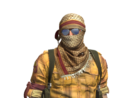 Агенты/Галерея | Counter-Strike Wiki | Fandom