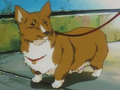 Ein | Cowboy Bebop Wiki | Fandom