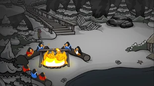 The Cove Crew | Club Penguin Shutdown Wiki | Fandom