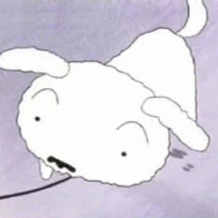 Shiro | Crayon Shin-chan Wiki | Fandom