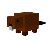 Beaver | Crazy Craft Wiki | Fandom