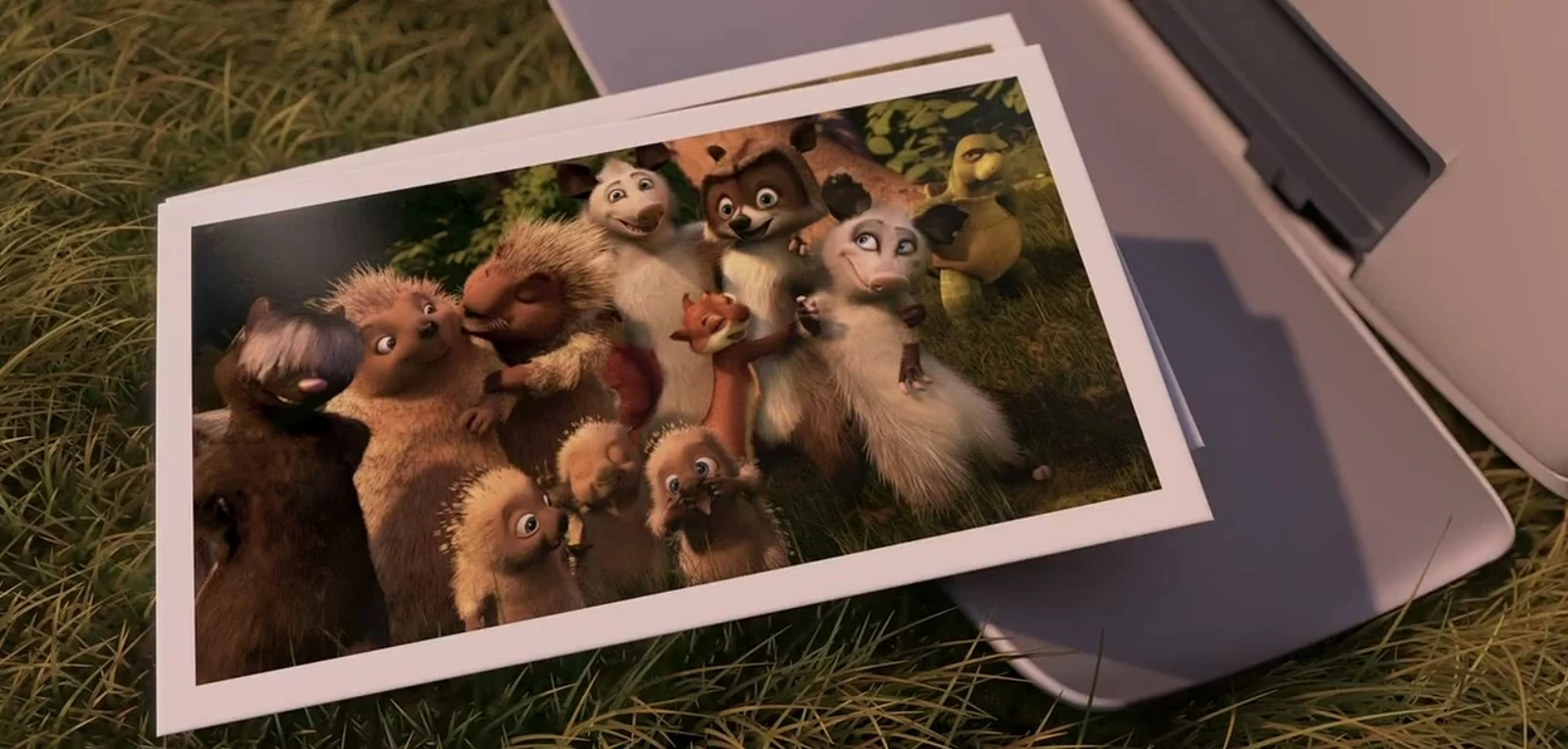 Forager Animals | Creative Thoughts Wiki | Fandom