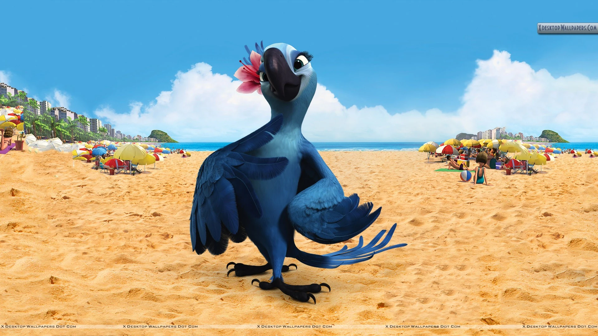 Image - Female-Bird-Jewel-in-Movie-Rio.jpg | Creative Thoughts Wiki ...