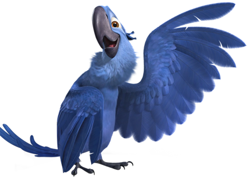 Blu Macaw | Creative Thoughts Wiki | FANDOM powered by Wikia