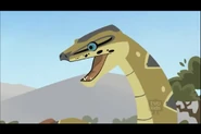 African Rock Python | Creatures of the World Wikia | Fandom