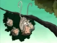 Proboscis Monkey | Creatures of the World Wikia | Fandom