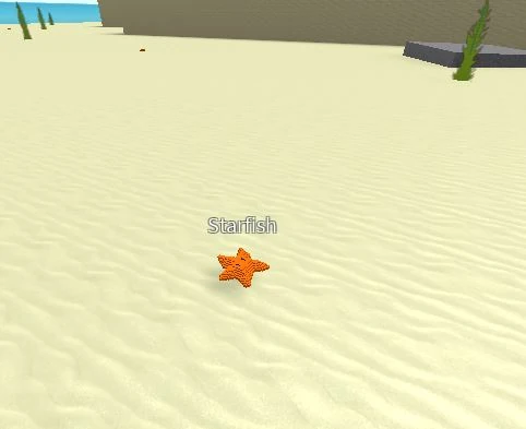 Starfish | Creatures Tycoon Wiki | Fandom