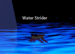 Water Strider | Creatures Tycoon Wiki | Fandom