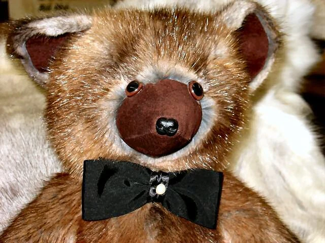 SCP-1048: Builder Bear | Deutsches Creepypasta Wiki | Fandom