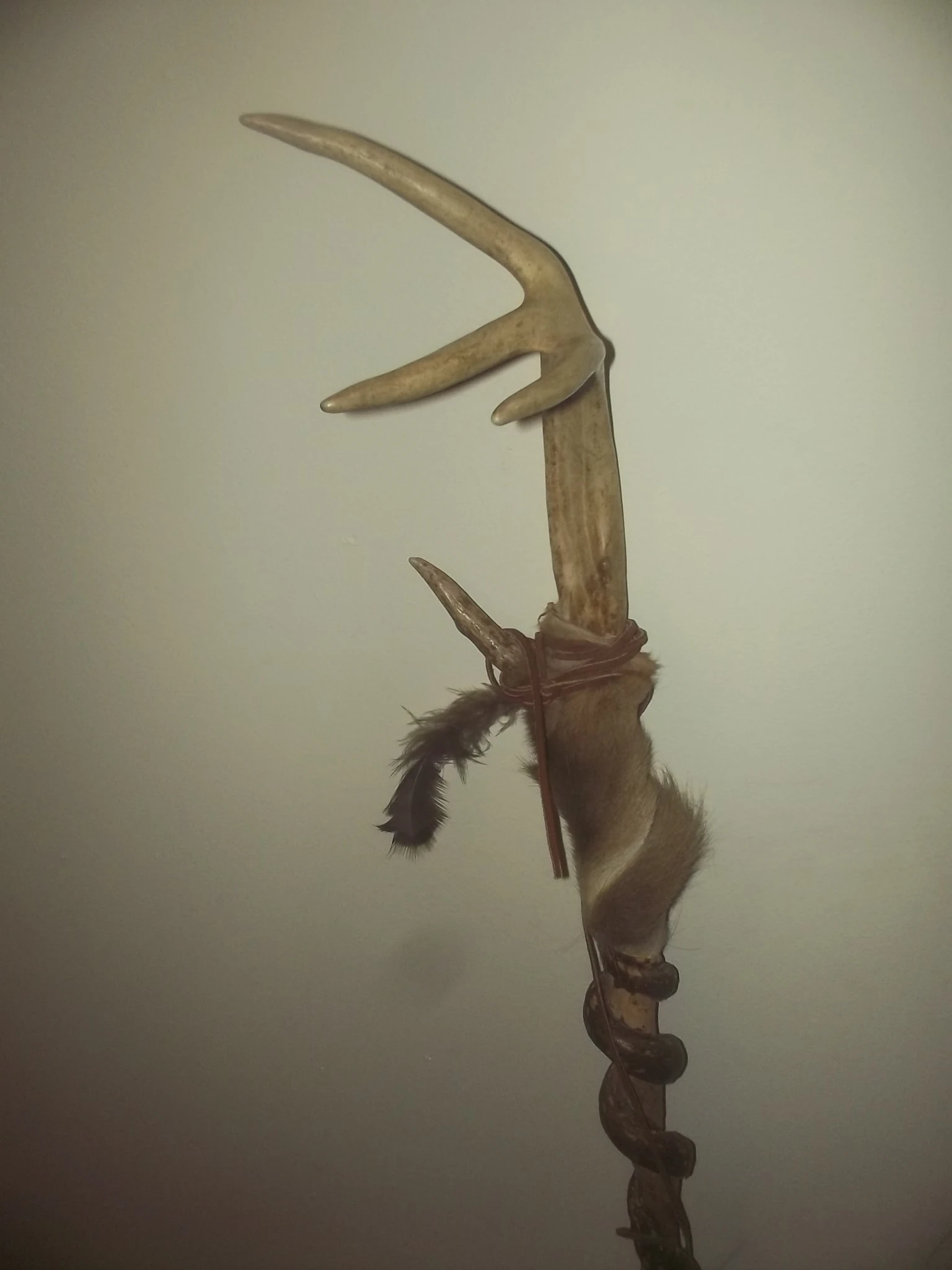 The Staff | Creepypasta Wiki | Fandom