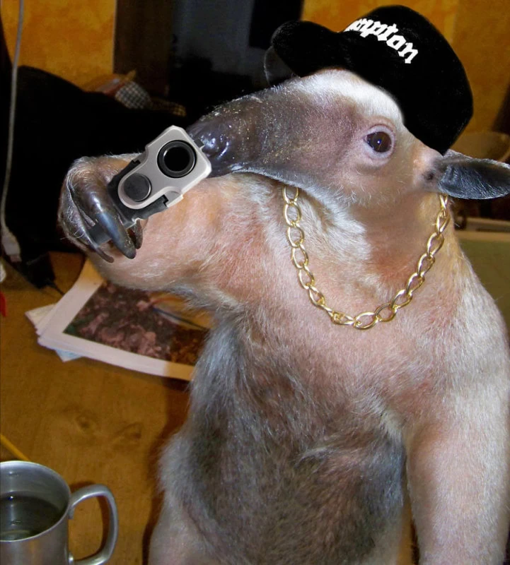 Peter the Anteater before he decided to turn his life around and get a ...