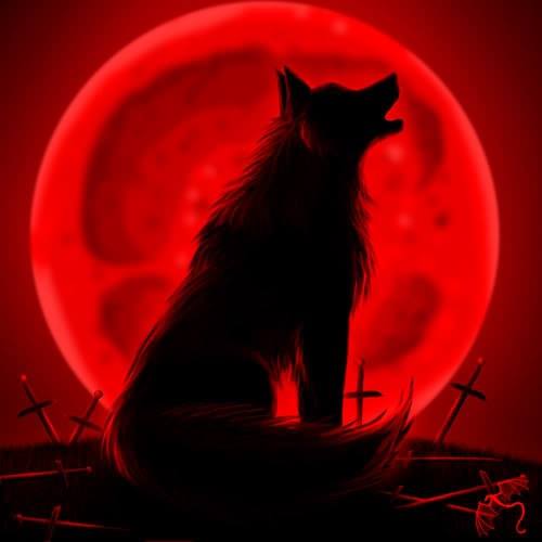 Luna De Sangre Wiki Creepypasta Fandom Powered By Wikia