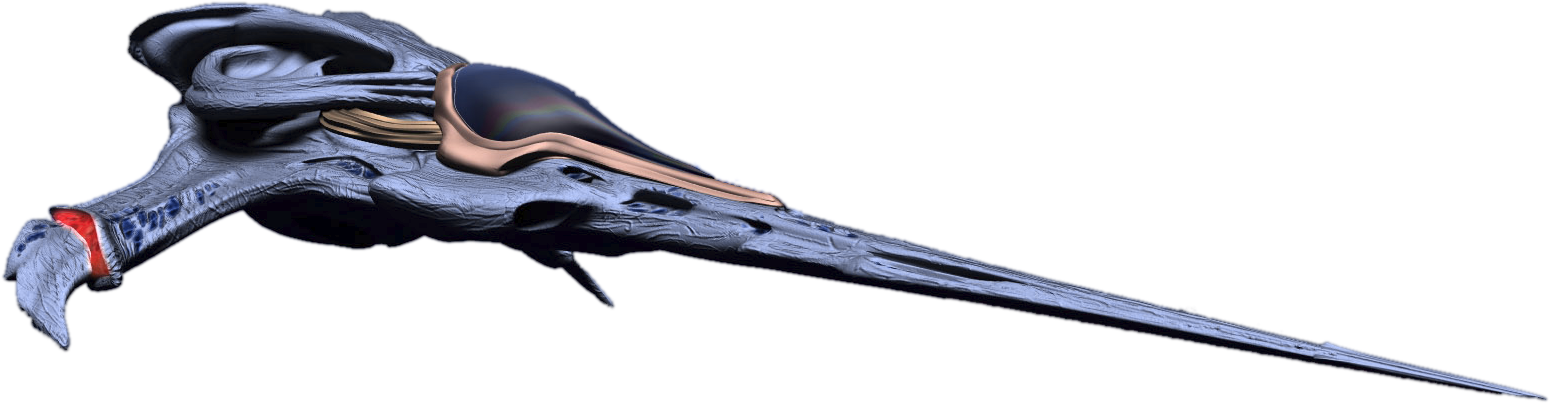 Wraith Dart Crossoverrp Wiki Fandom Powered By Wikia